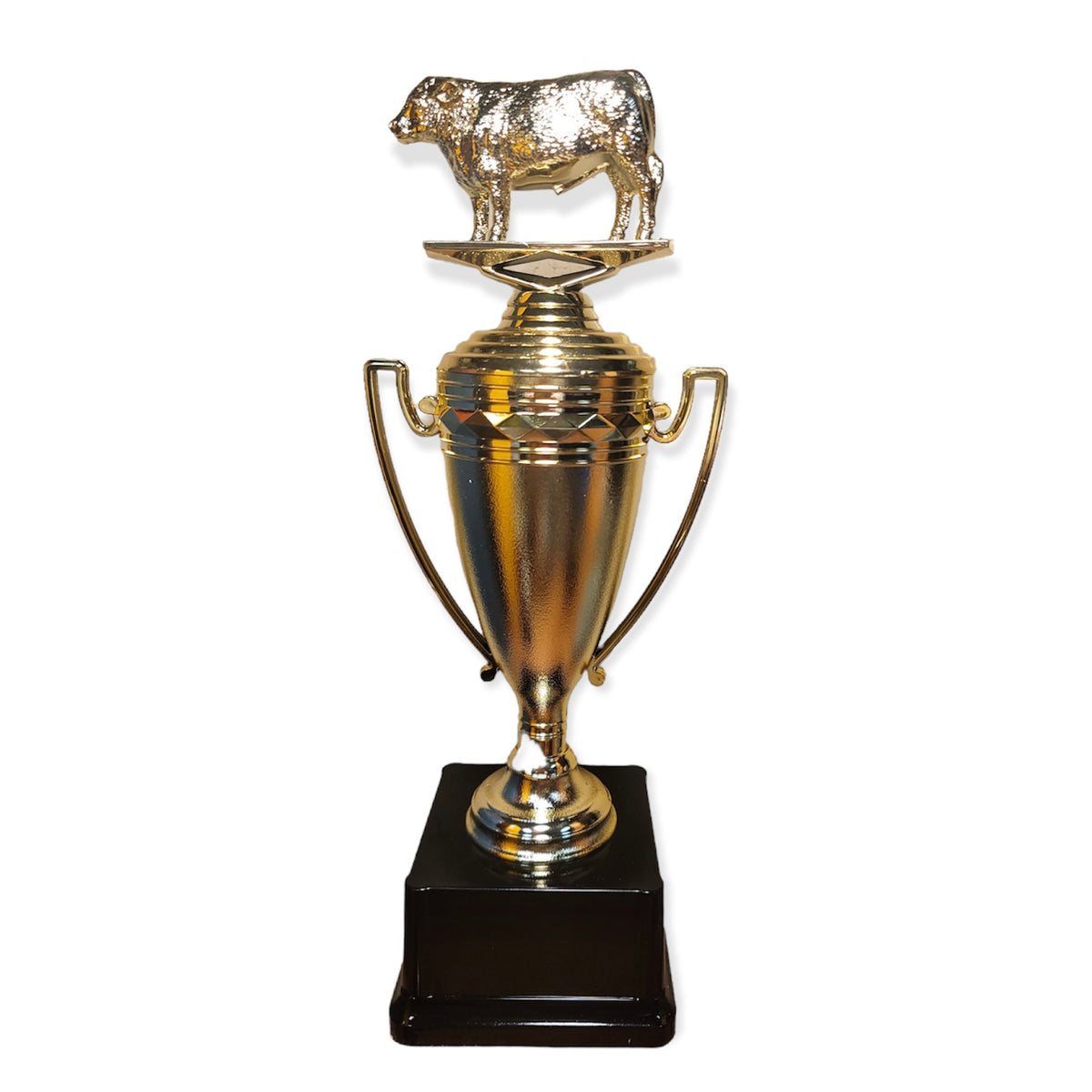 Dairy Cow Trophy | Cattle Trophy | Cattle Judging Awards