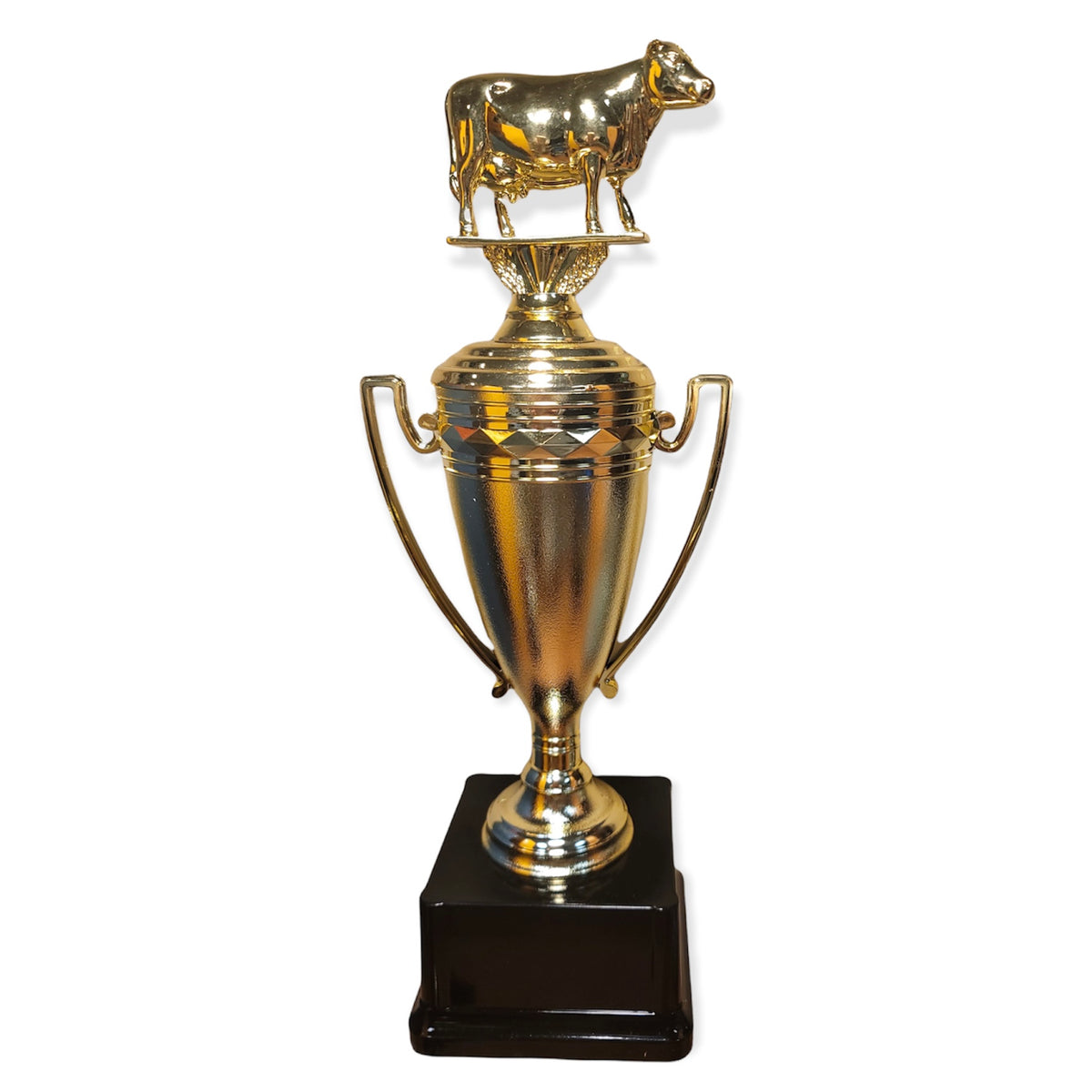 Dairy Cow Trophy | Cattle Trophy | Cattle Judging Awards