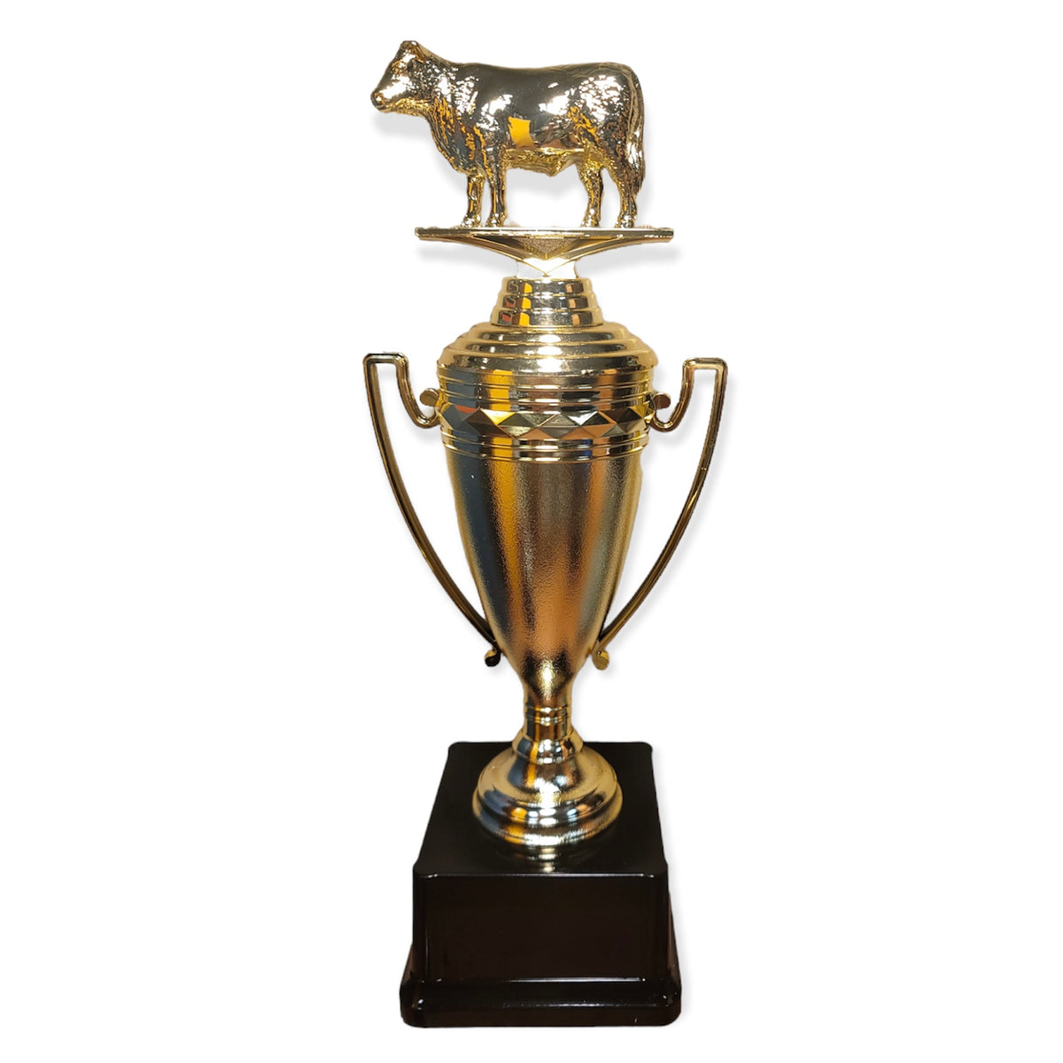 Dairy Cow Trophy | Cattle Trophy | Cattle Judging Awards